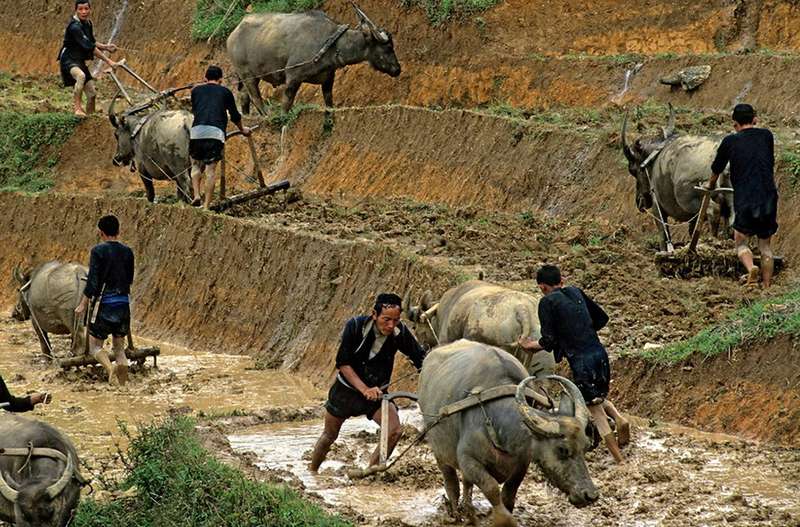 Authentic Tours | Original Adventures