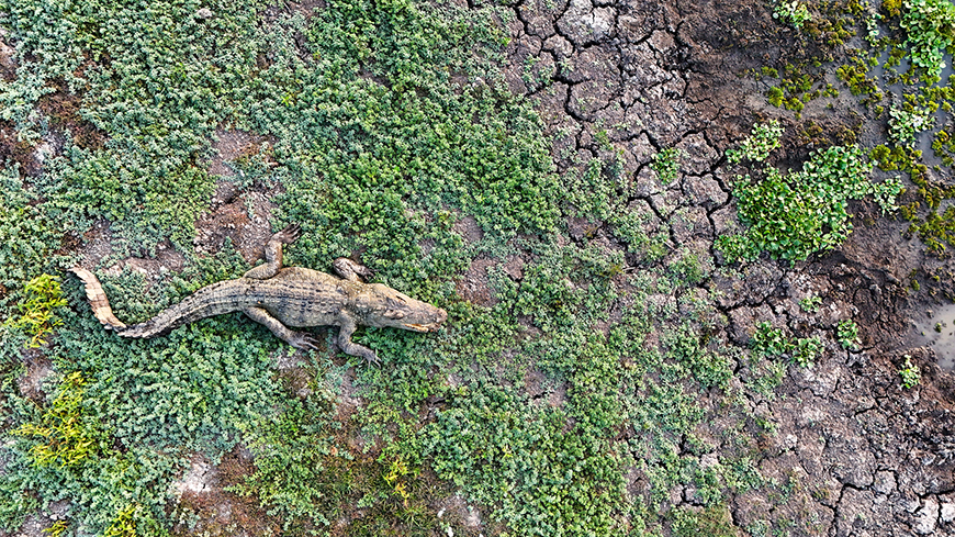 Cat Tien National Park Highlights & Travel Guide